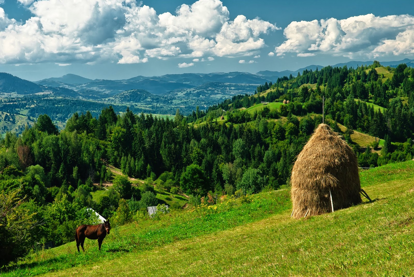 Amazing Romania: MARAMURES