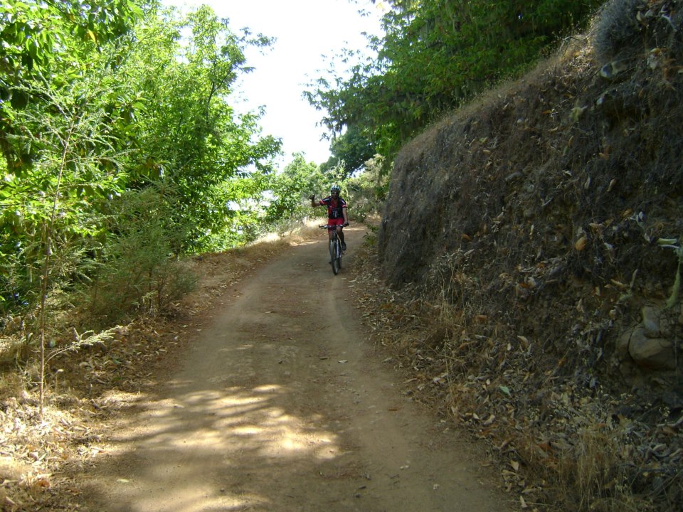 MTBGRANCANARIA: Arucas - Valsendero - El Pinilllo - Fontanales - Moya - Arucas