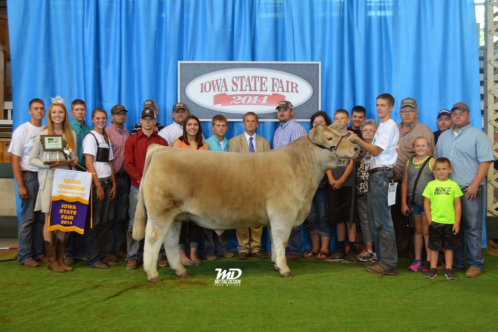 MITTAG Blog: Iowa State Fair | Top 5 Steers
