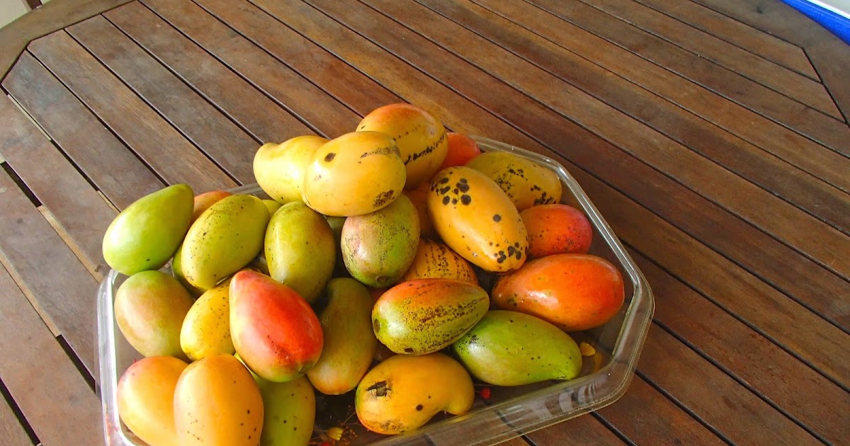 ZARMA-HOPUPU: Mangues sauvages