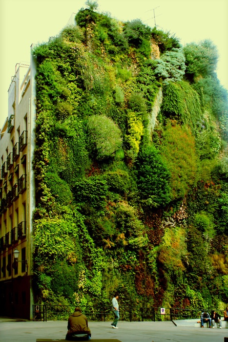 Interiorlivingwall: vertical green wall