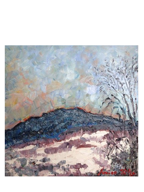 Lucian Filip: Picturi