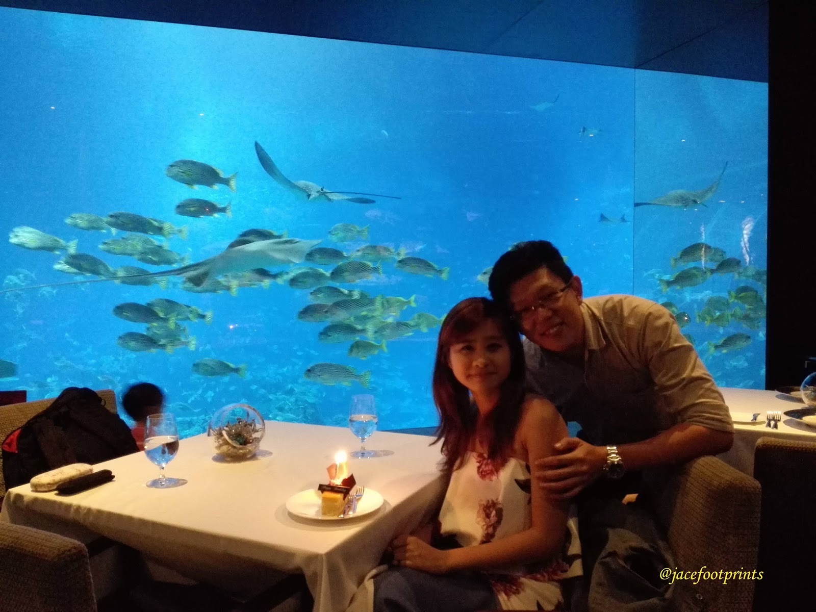 [Singapore] Ocean Restaurant - Ocean View & Exquisite Dining Experience ...