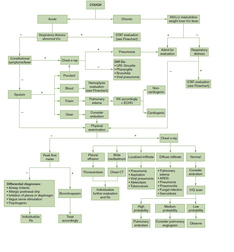 Emergency Nursing Blog: Respiratory related algorithms