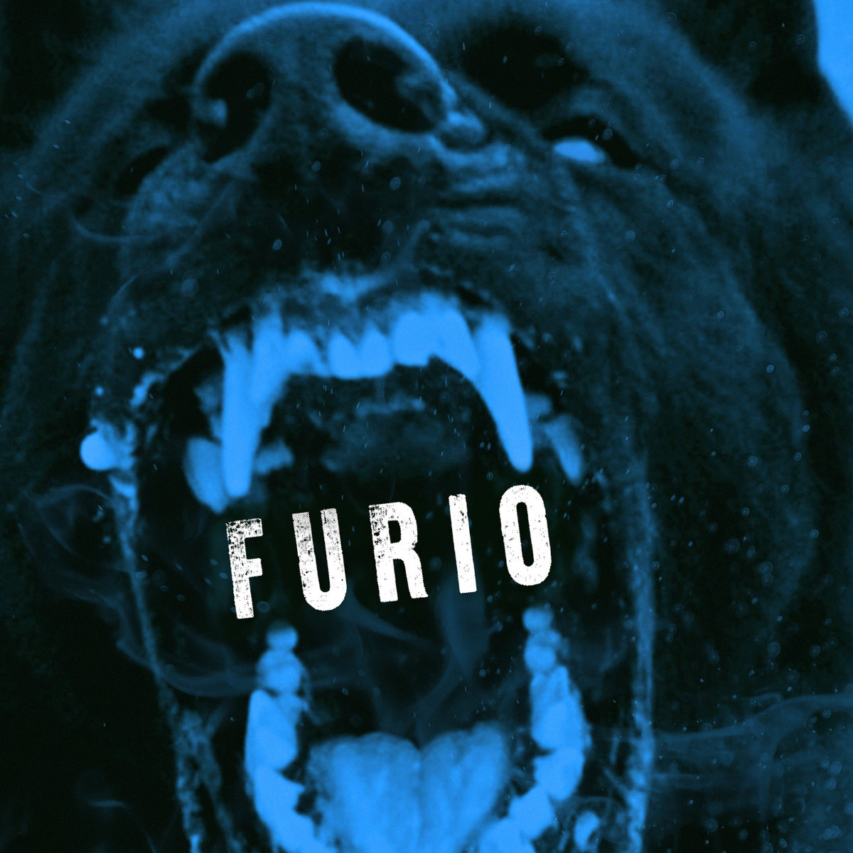 RUIDO: FURIO "Furio"