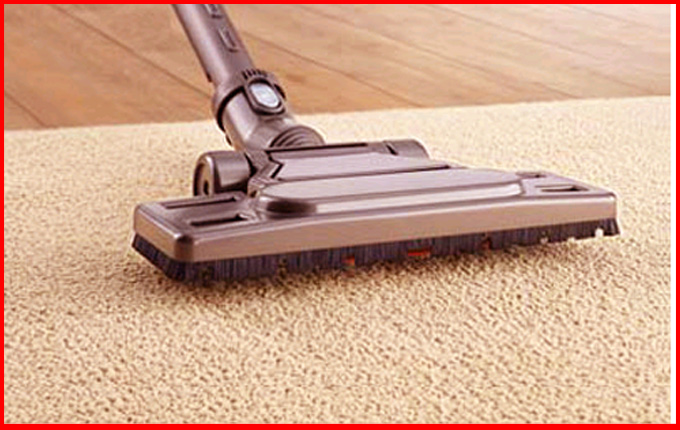 Cara Menghilangkan Kutu Kucing di Karpet - Desain Rumah