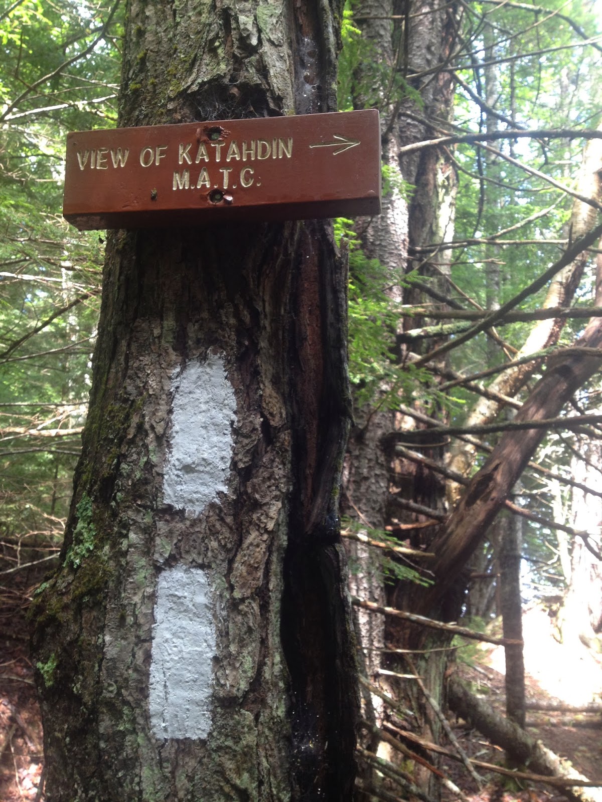 Hiking the Good Hike