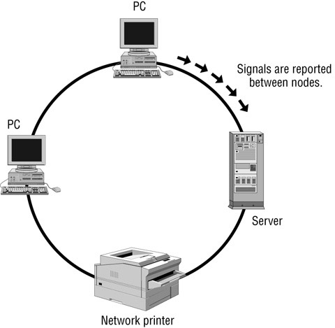 Cabling: Guide Fiber-Optic Networking: Topologies | Choosing the ...