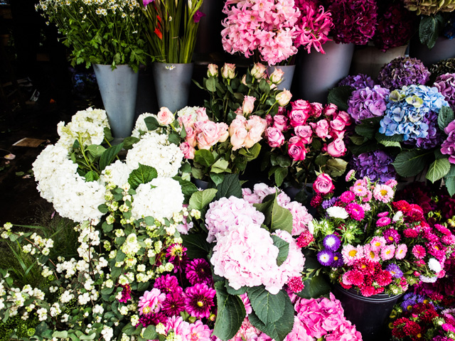 Style Update: A Boden ICONS moment in London – Emily Jane Johnston