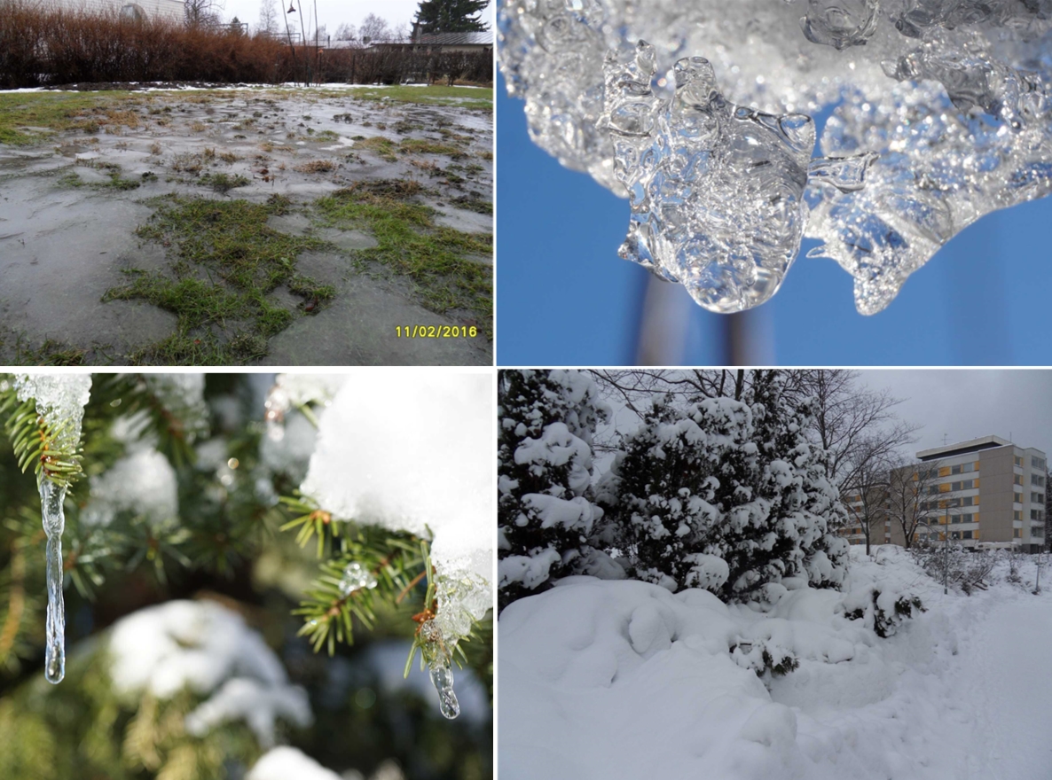 Jarin blogi - biologiaa ja maantiedettä: Helmikuu maamme ...