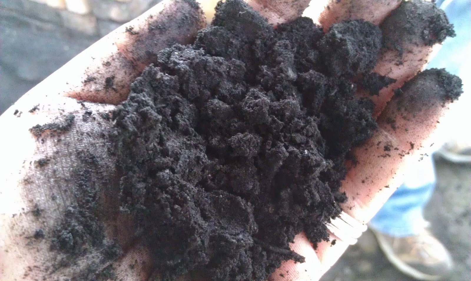 A biochar day at the coffee farm / Un dia de biocarbon en la finca de ...