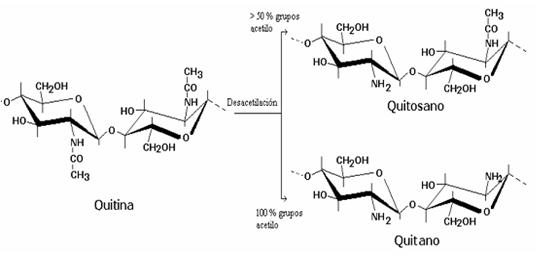 BIOPÉLICULAS COMESTIBLES: julio 2015