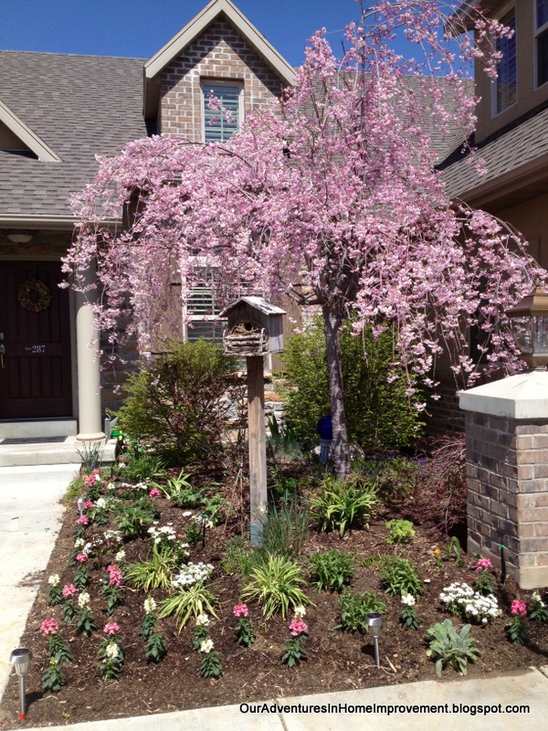 Our Adventures in Home Improvement: Spring in the Front Yard and a ...