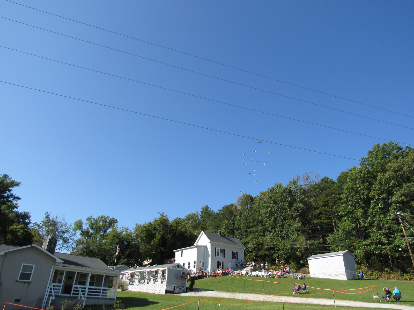 AMERICAN RACING PIGEON UNION: January 2018