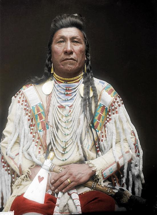 Incredible 19th Century Portraits of Native Americans Are Brought to ...