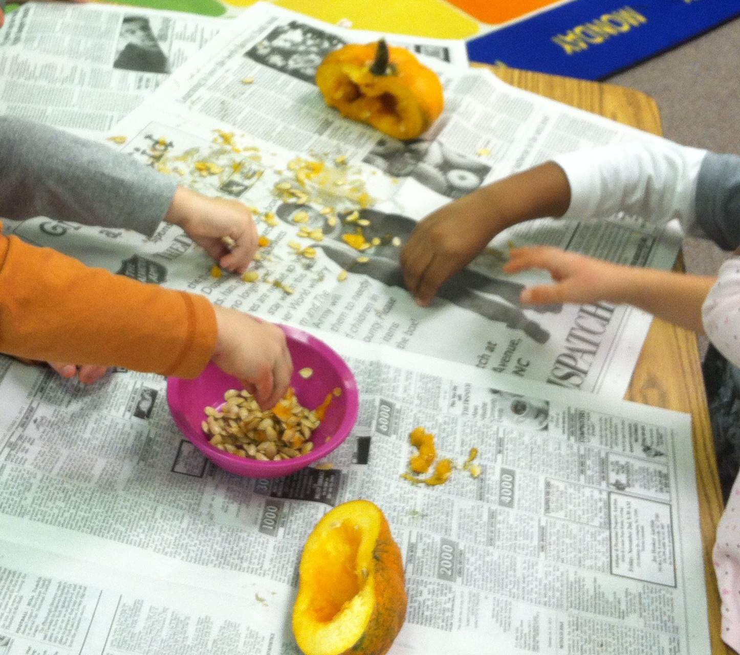 It's a Jungle Out There! A Kindergarten Blog: Pumpkin Investigation