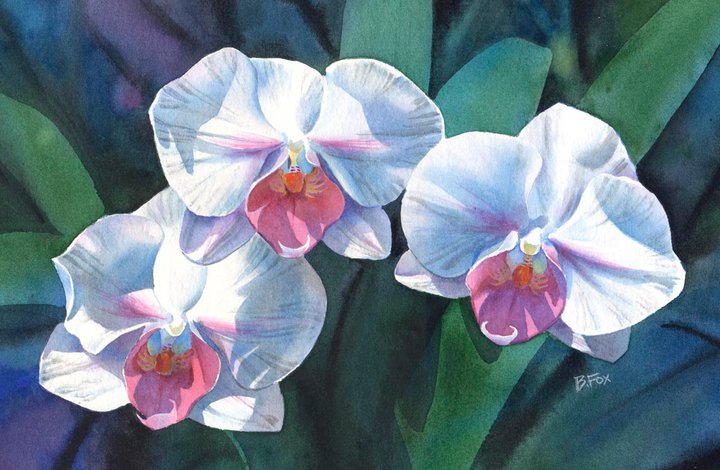 Barbara Fox, 1956 | Watercolor painter | Tutt'Art@ | Pittura * Scultura ...