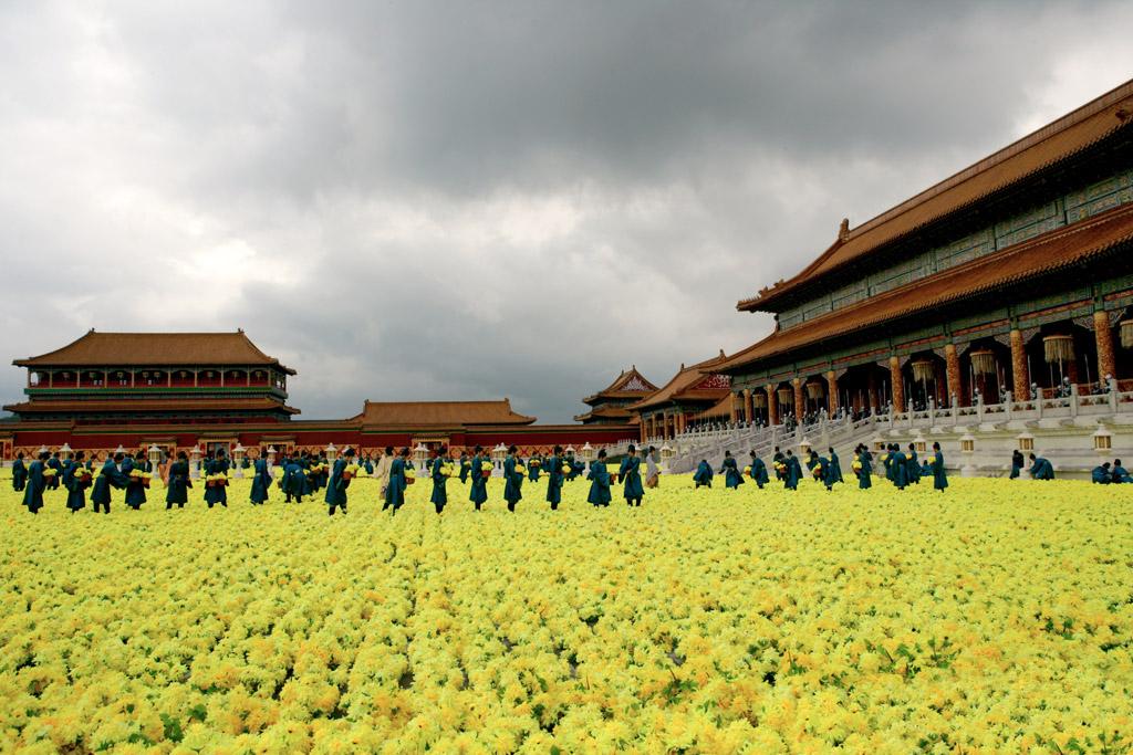 FIND&SEEK: Curse Of The Golden Flower: Colour, Symbolism and Emotion