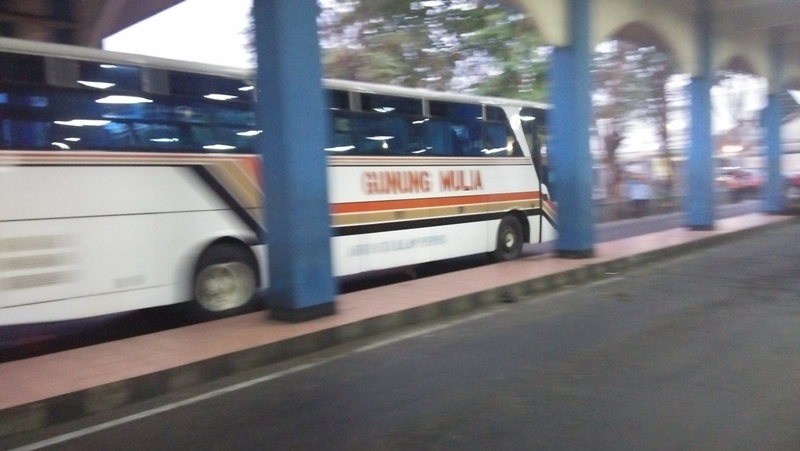 SEKILAS TENTANG PO GUNUNG MULIA ~ BUSMANIAX