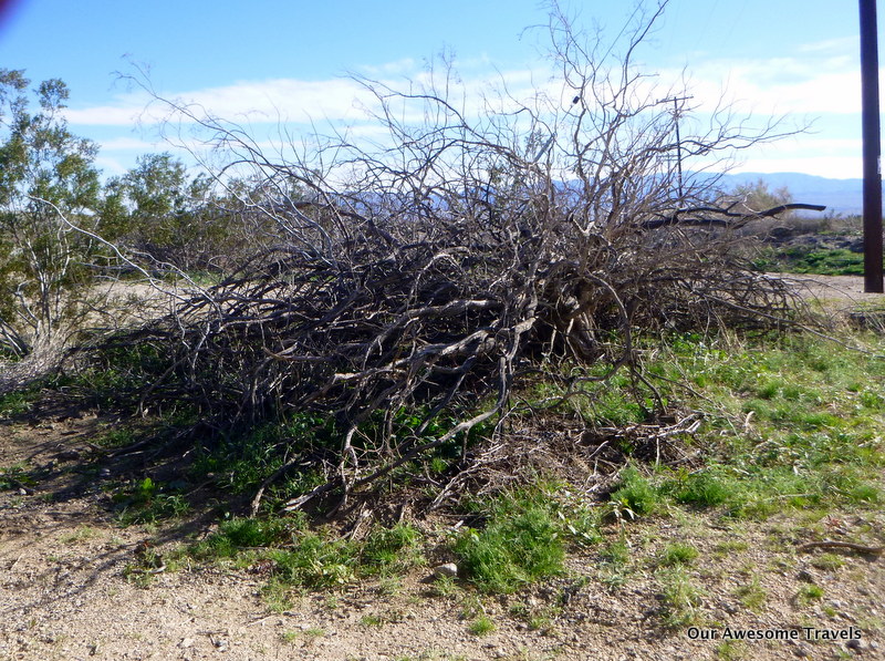 Our Awesome Travels: Finally on the road again, looking for some new ...