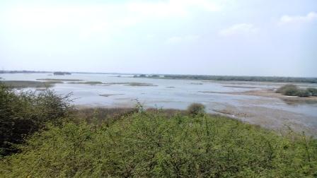 கரந்தை ஜெயக்குமார்: கரைவெட்டி