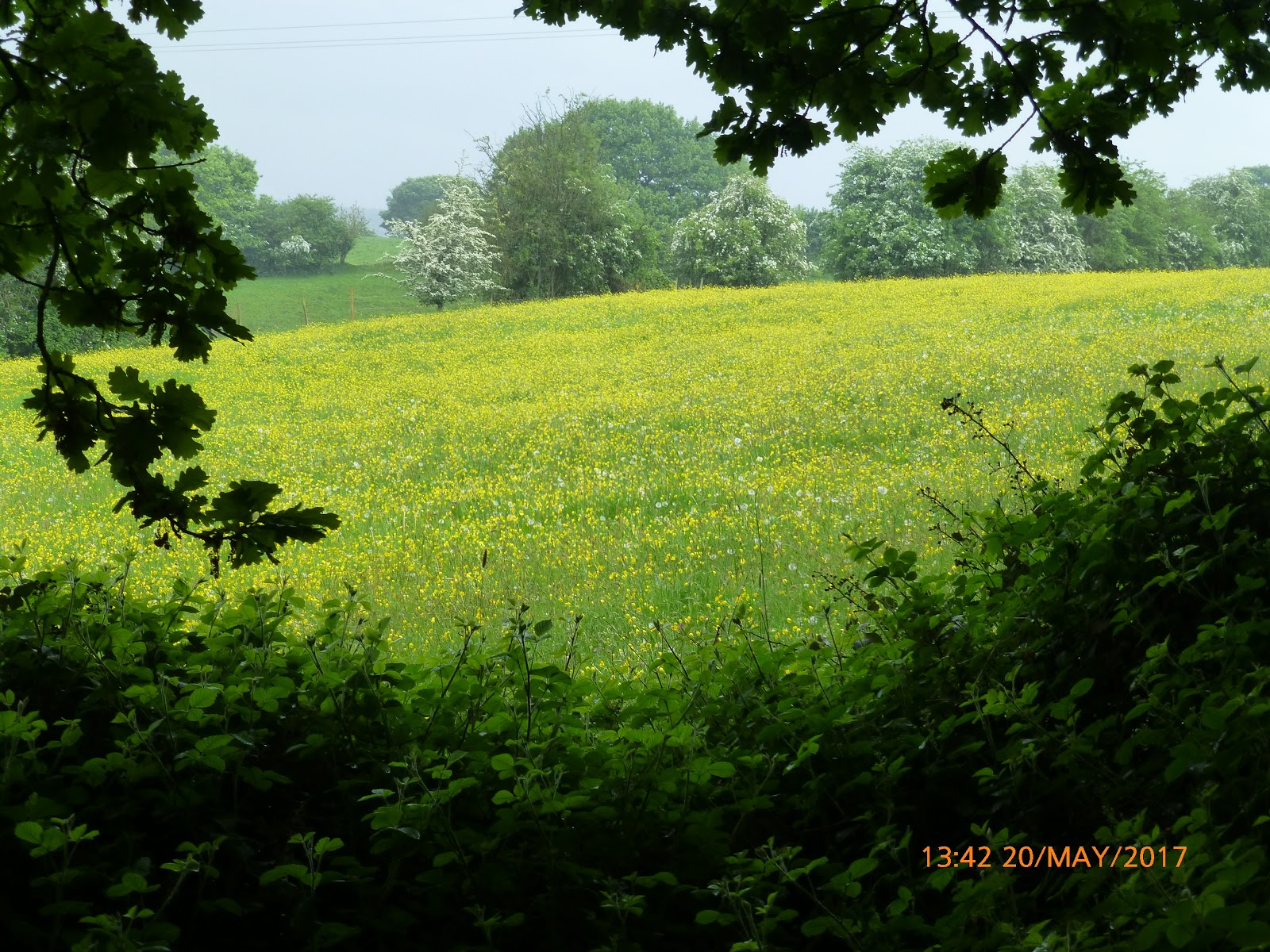 Harris Hikers: Congleton Edge and Mow Cop 20th May 2017