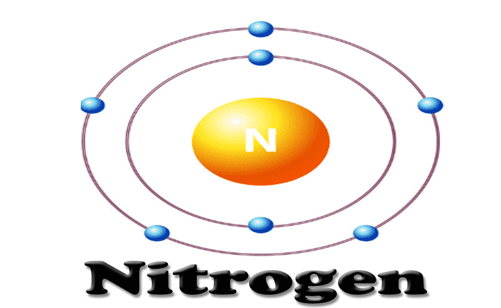Manfaat Unsur Hara Nitrogen (N) Bagi Tanaman - Garda Remaja