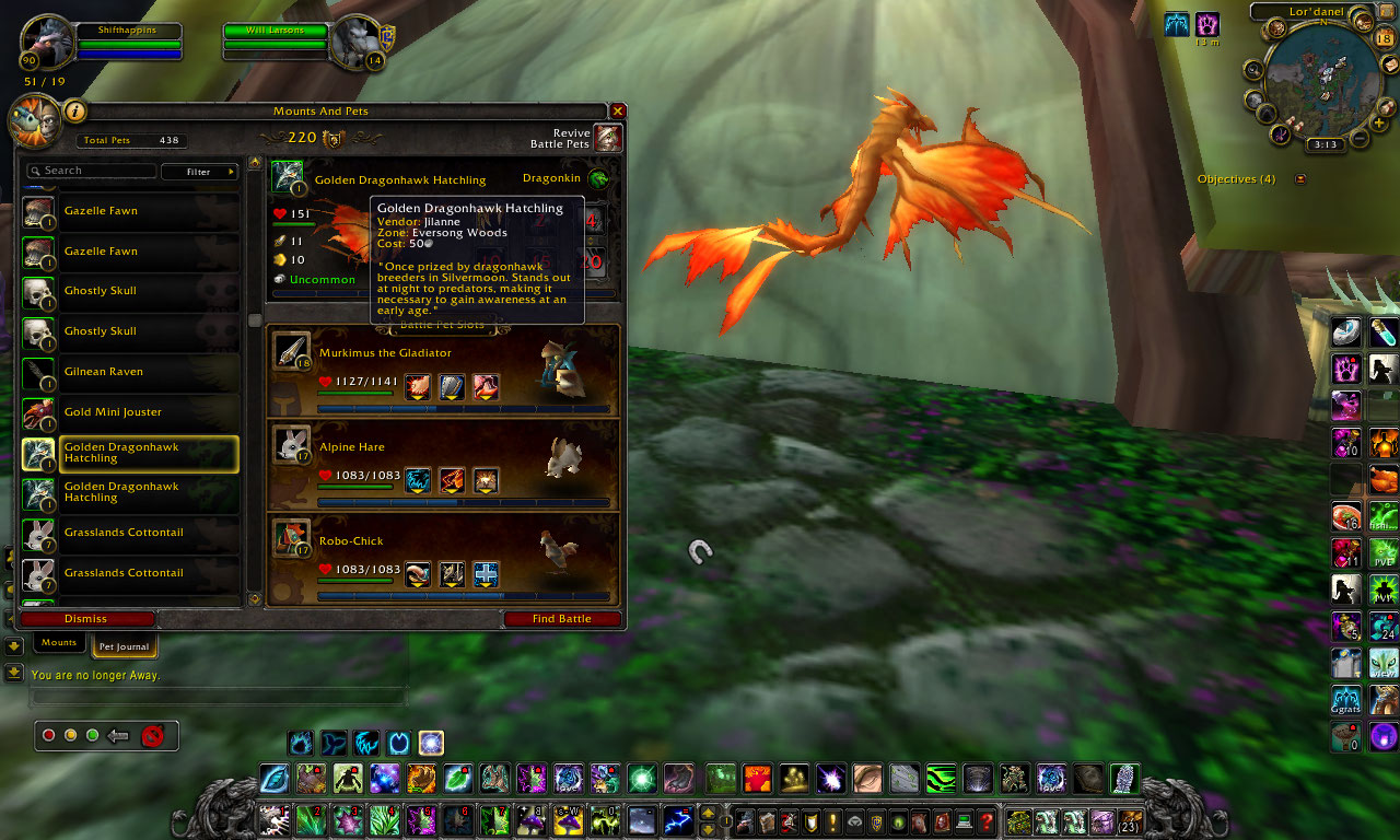 WOW Companion Collector: Golden Dragonhawk Hatchling (uncommon lvl 1)