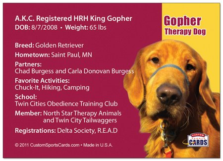 Gopher Sessions: Adventures and Experiences with a Therapy Dog: Gopher ...