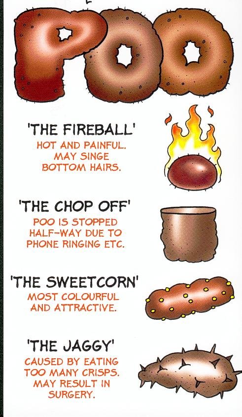 The Body Blog: From Oral to Anal: A Gastrointestinal Journey