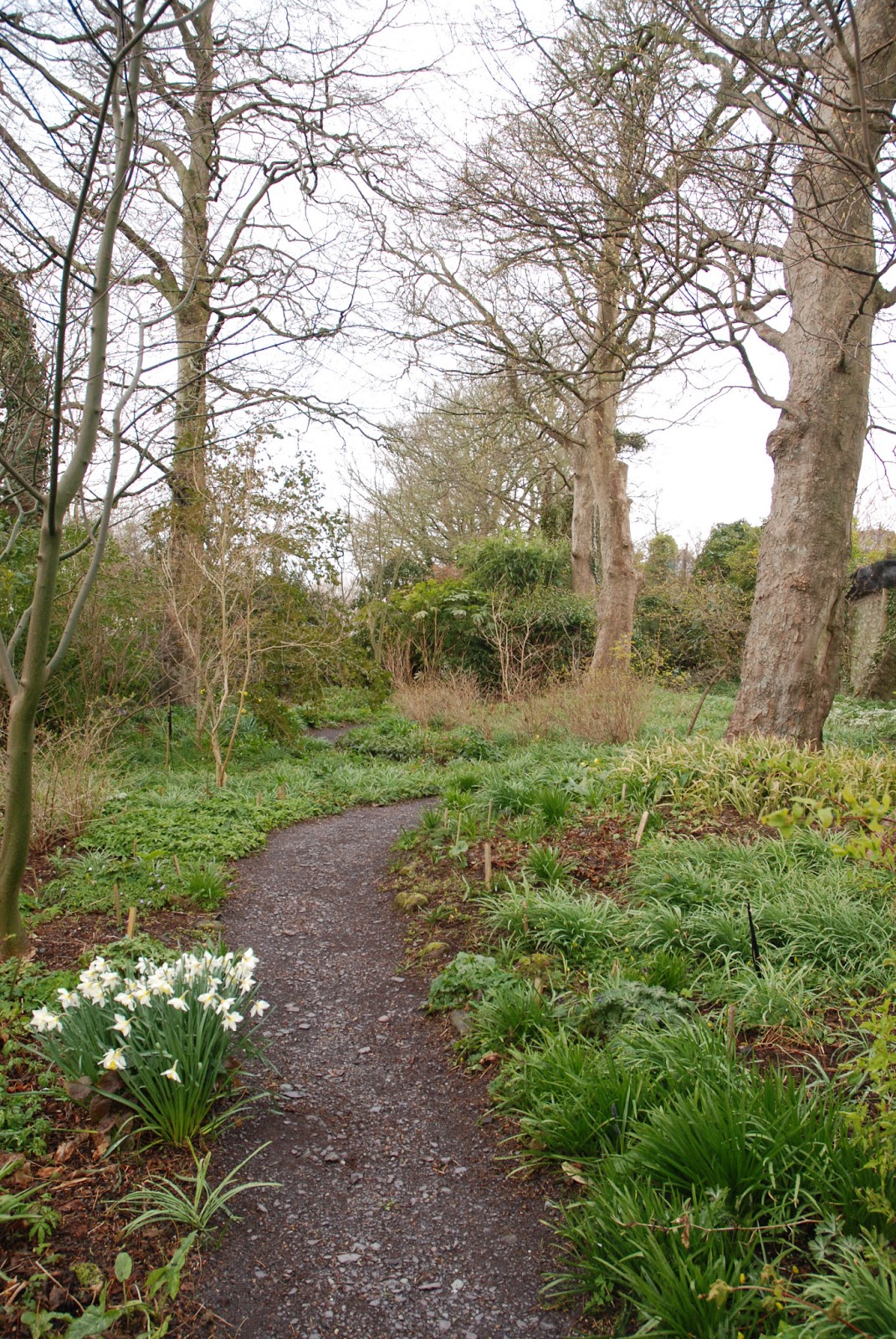 My visit to Crûg Farm