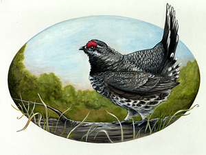 Our silly old lives: Baking Game Birds