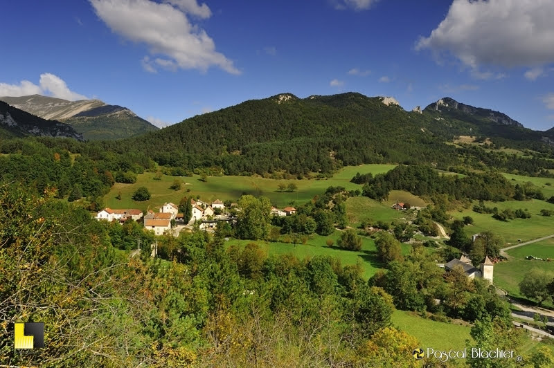 Au delà du cliché: Glandage