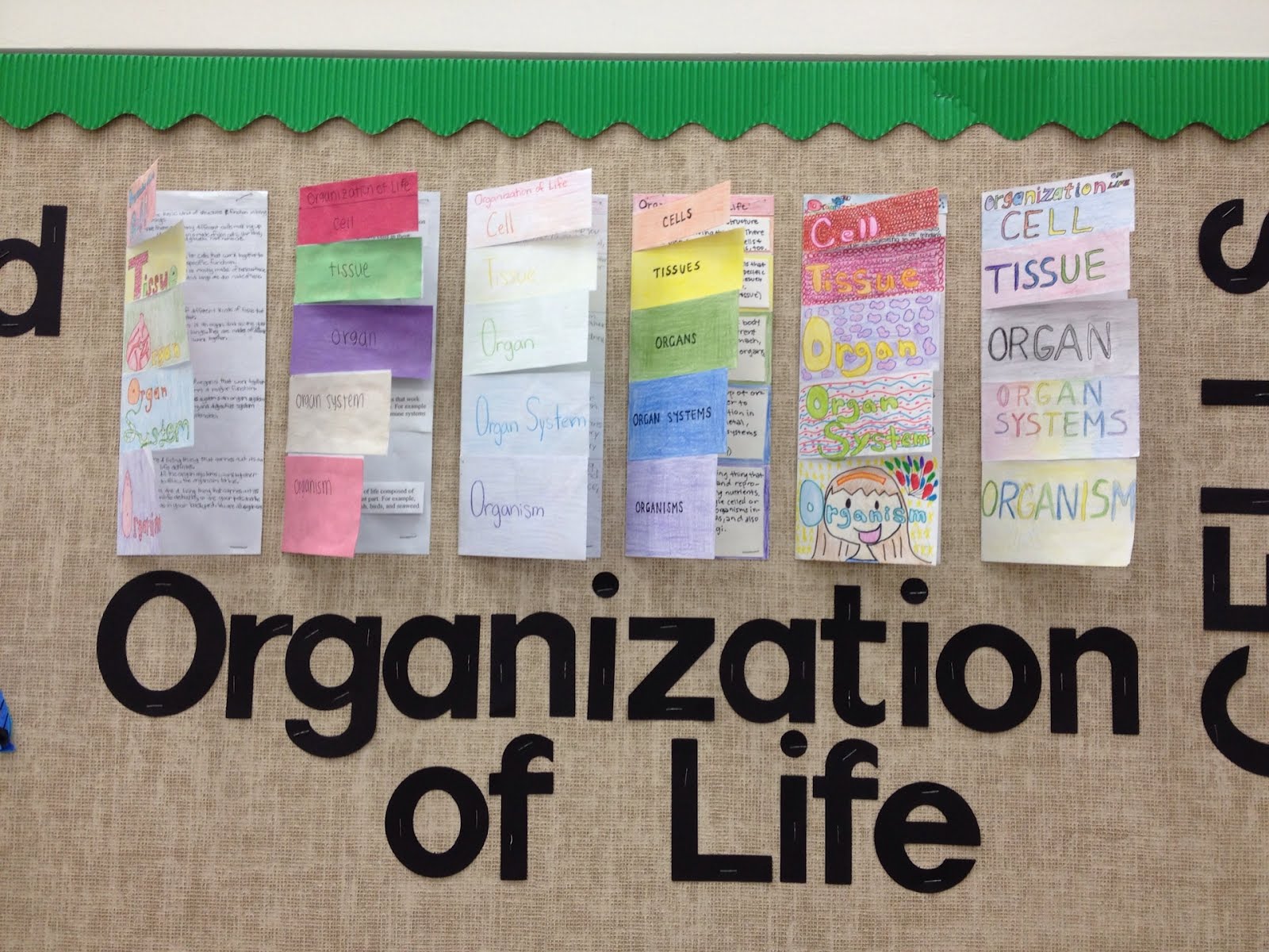 Cards {and} Cardigans: Student Project Display