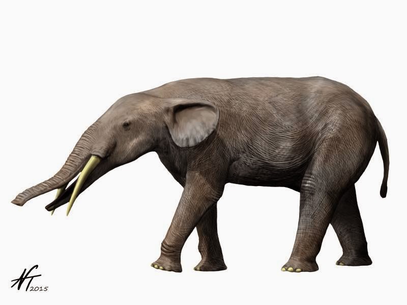 Plagios y errores en publicación de Prensa Libre sobre paleontología