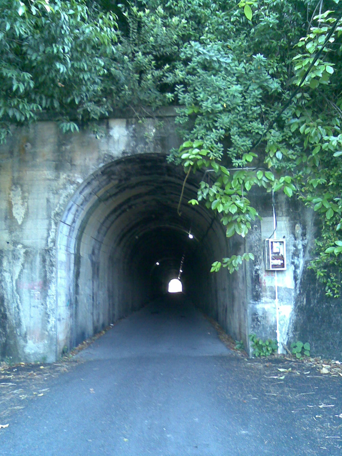 69 Solutions: Nostalgia