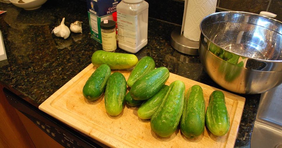 Just the Right Size: Pickle Quest 2013: The Dill Pickle