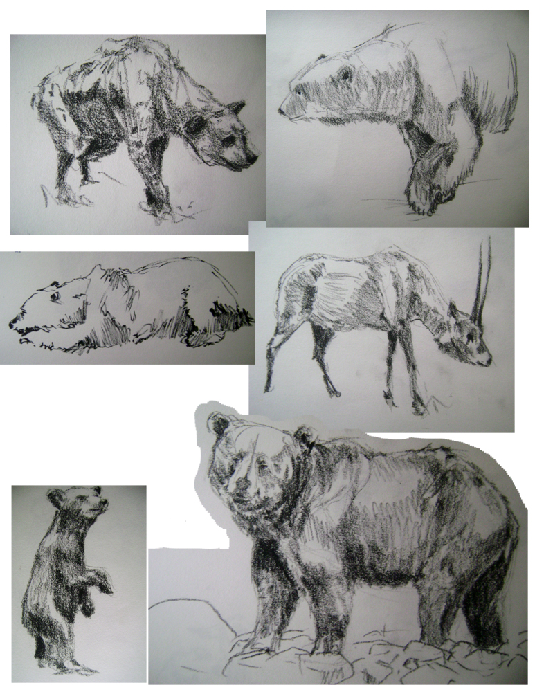 Larry C's ART...: my animal sketches, and motion studies