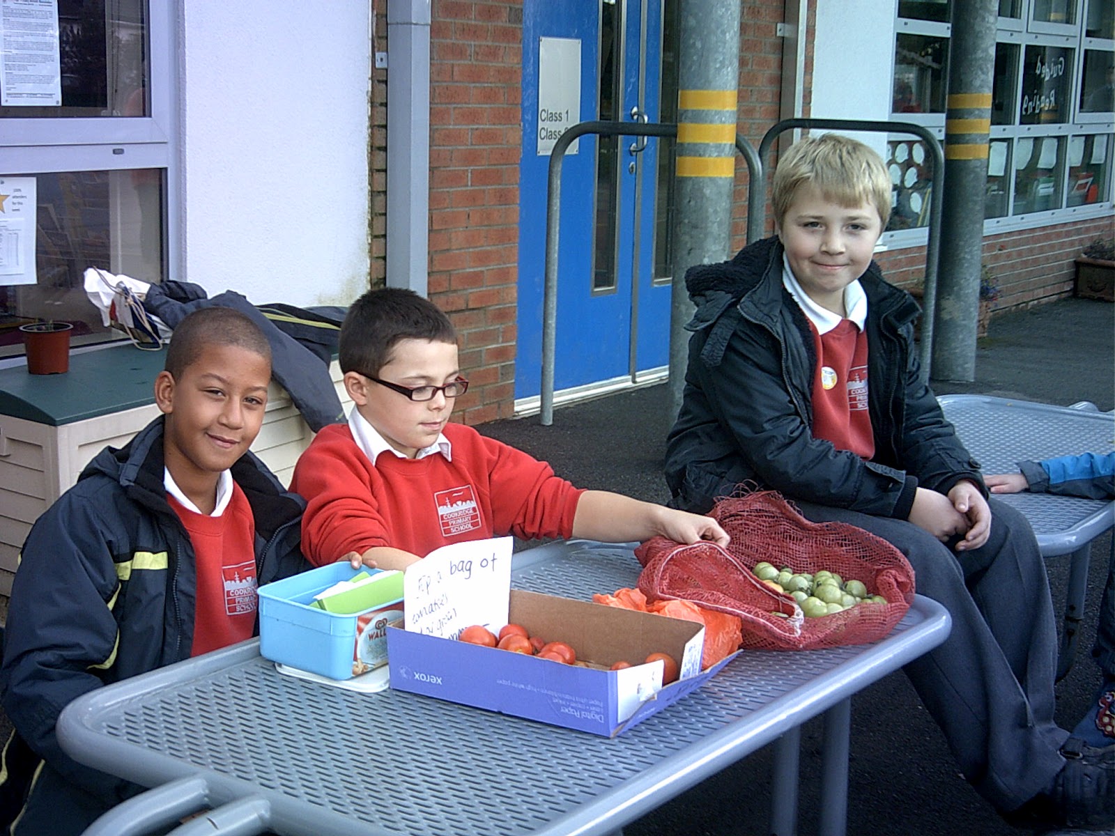 Welcome to Cookridge Primary School's Garden: Class 7 come to the garden
