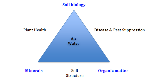 The Food Garden Group Blog: And now improve your soil biology