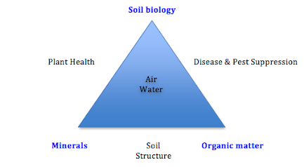 The Food Garden Group Blog: And now improve your soil biology