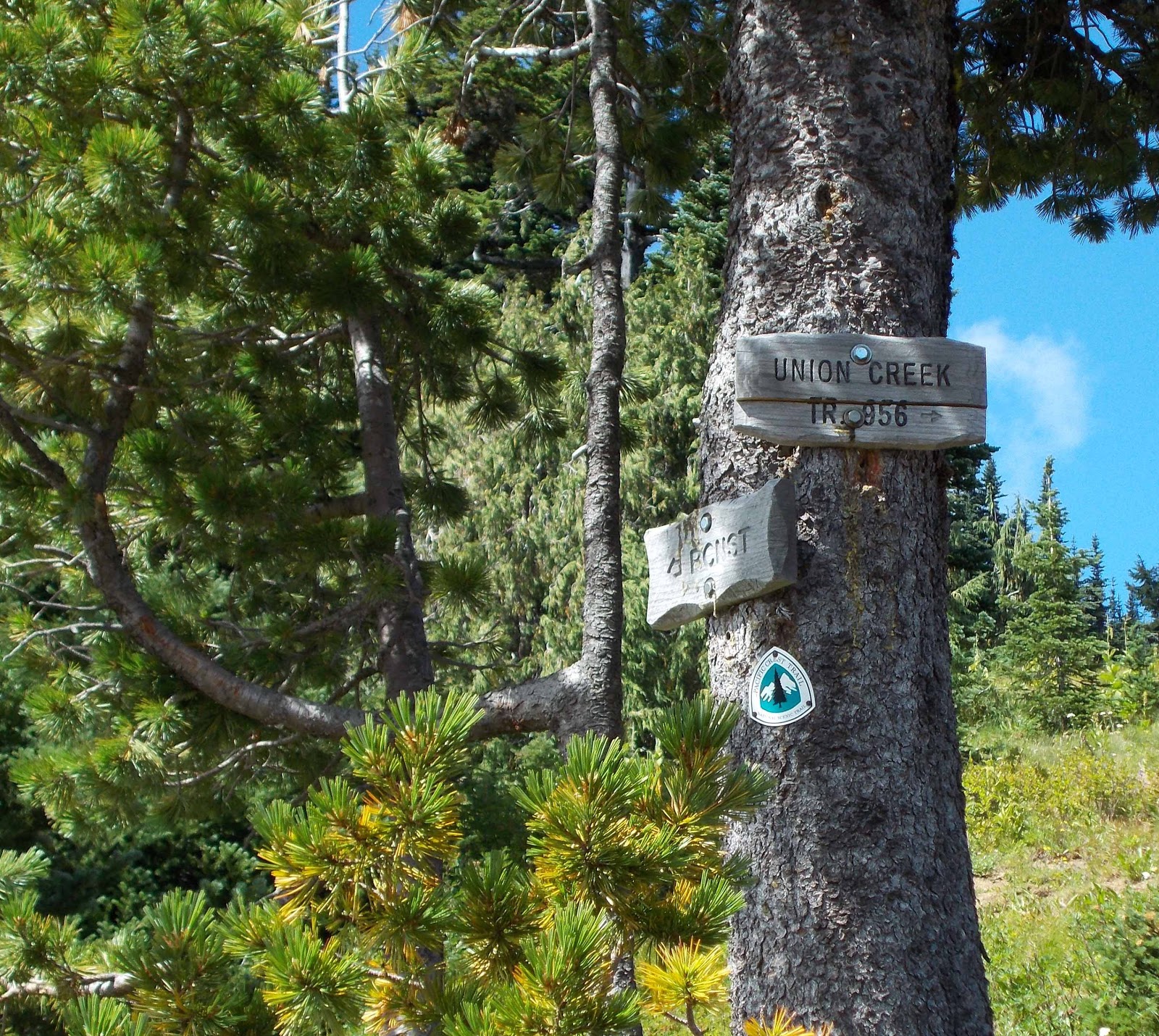 Ingrid on the PCT: Washington Section C: White Pass to Snoqualmie Pass ...