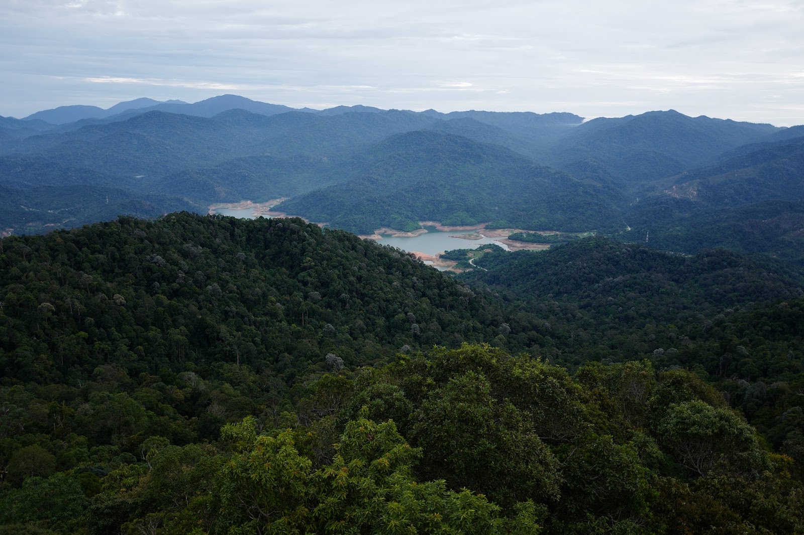 JE TunNel: Trail up BUKIT KUTU with Friends!