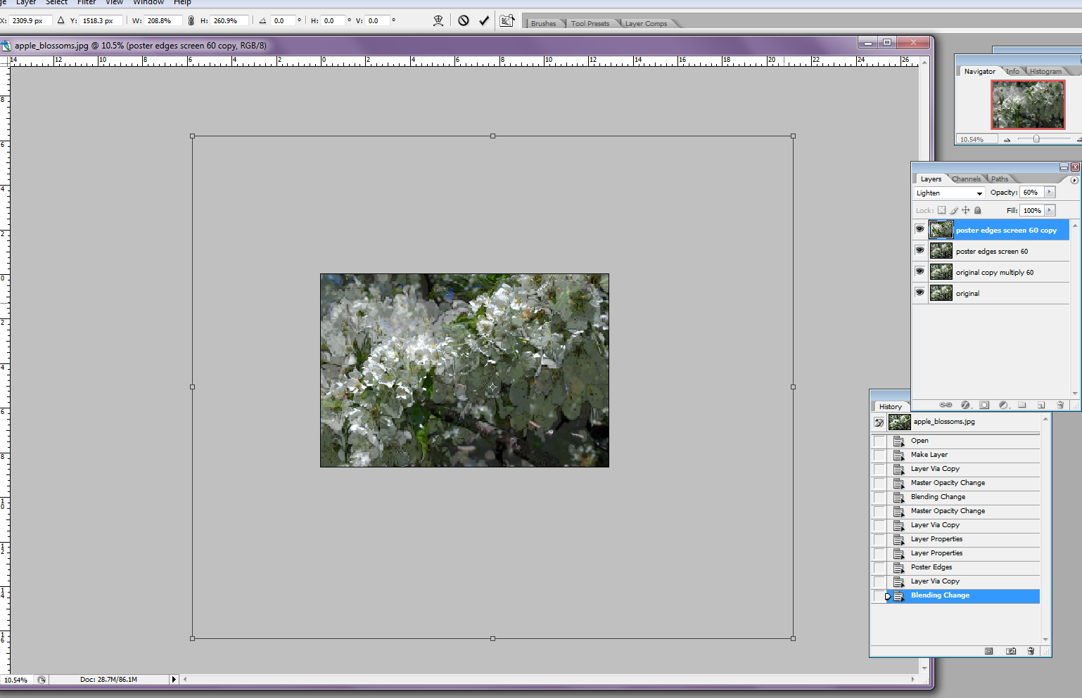 Photographing Flowers: Flower Edge Effects in Photoshop