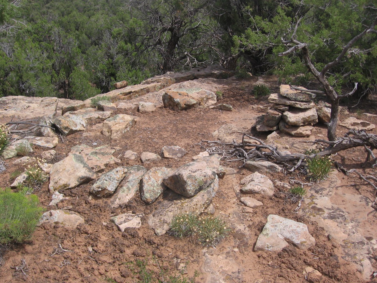 Four Corners Hikes-Canyons of the Ancients: Mockingbird Mesa East ...