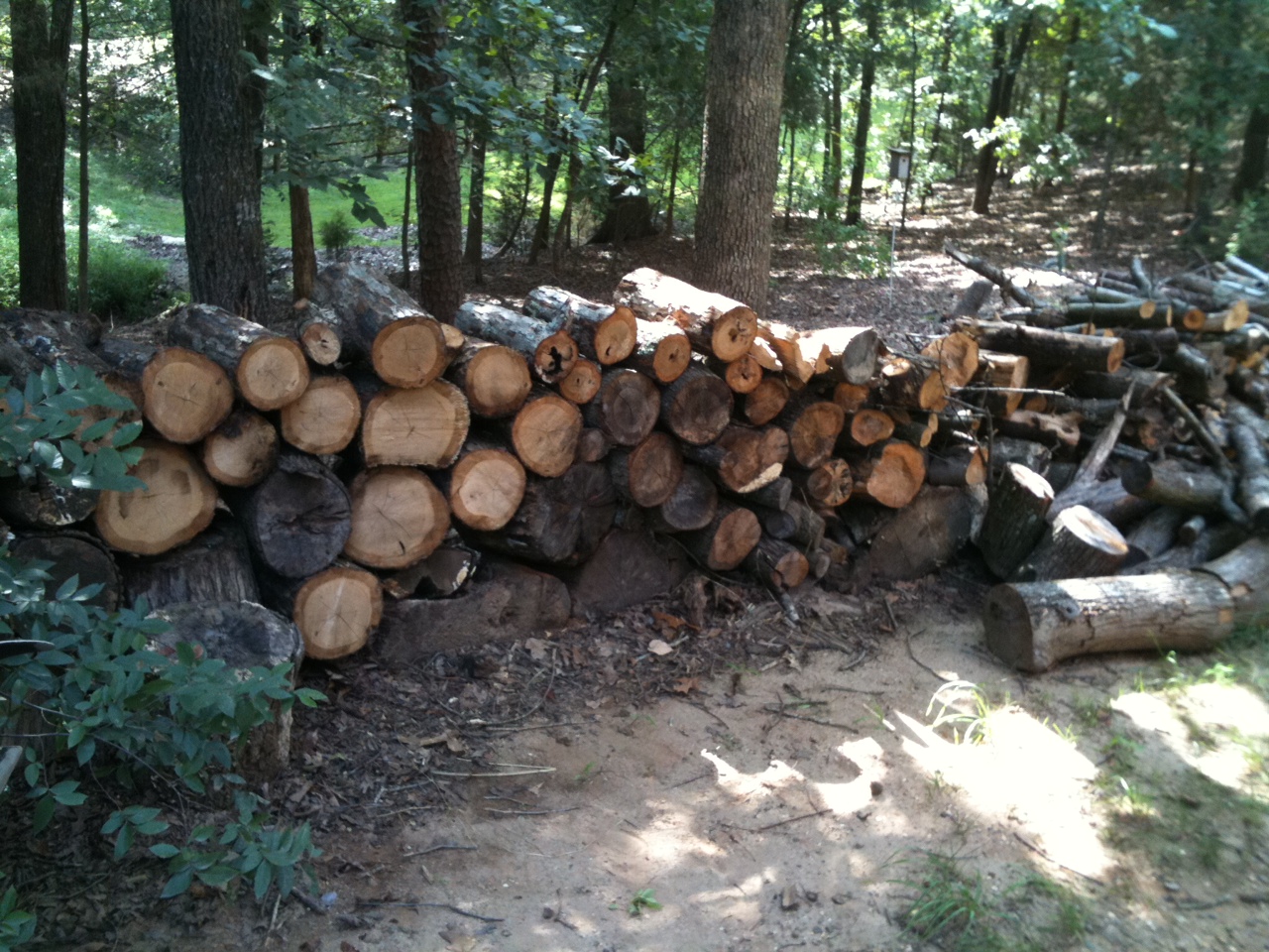 Not Another Episcopal Church Blog: I've Got My Wood Cut Out For Me