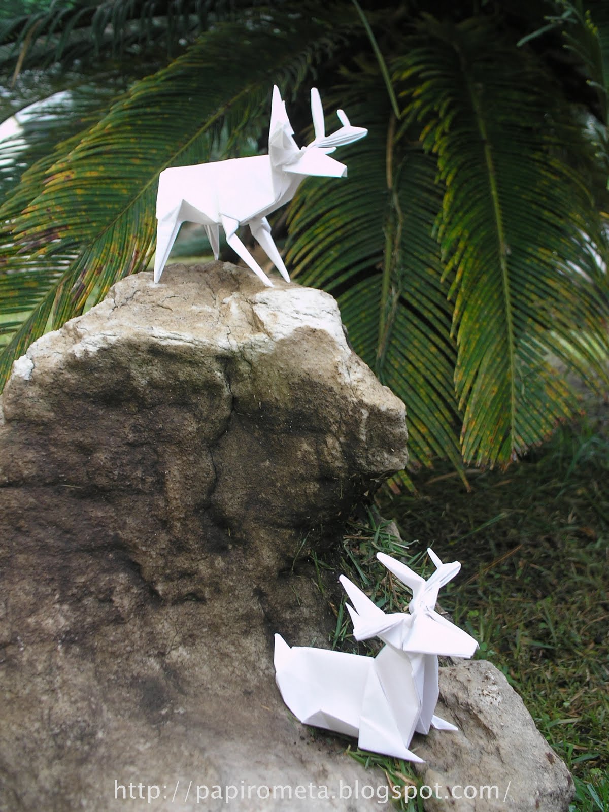 Papirometa: Veados de Jun Maekawa