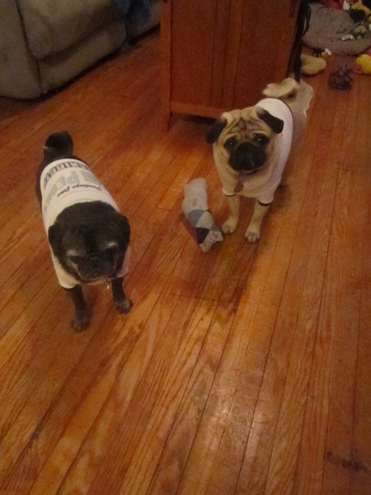 Urban Hounds: DIY-Two Minute Toy