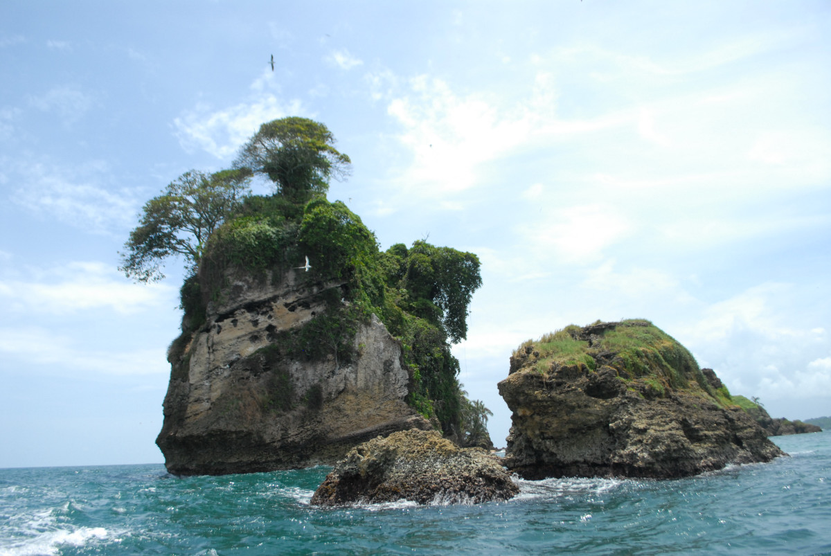 Curiouser and curiouser: Isla Pajaros: Island of the Tropicbirds (and ...