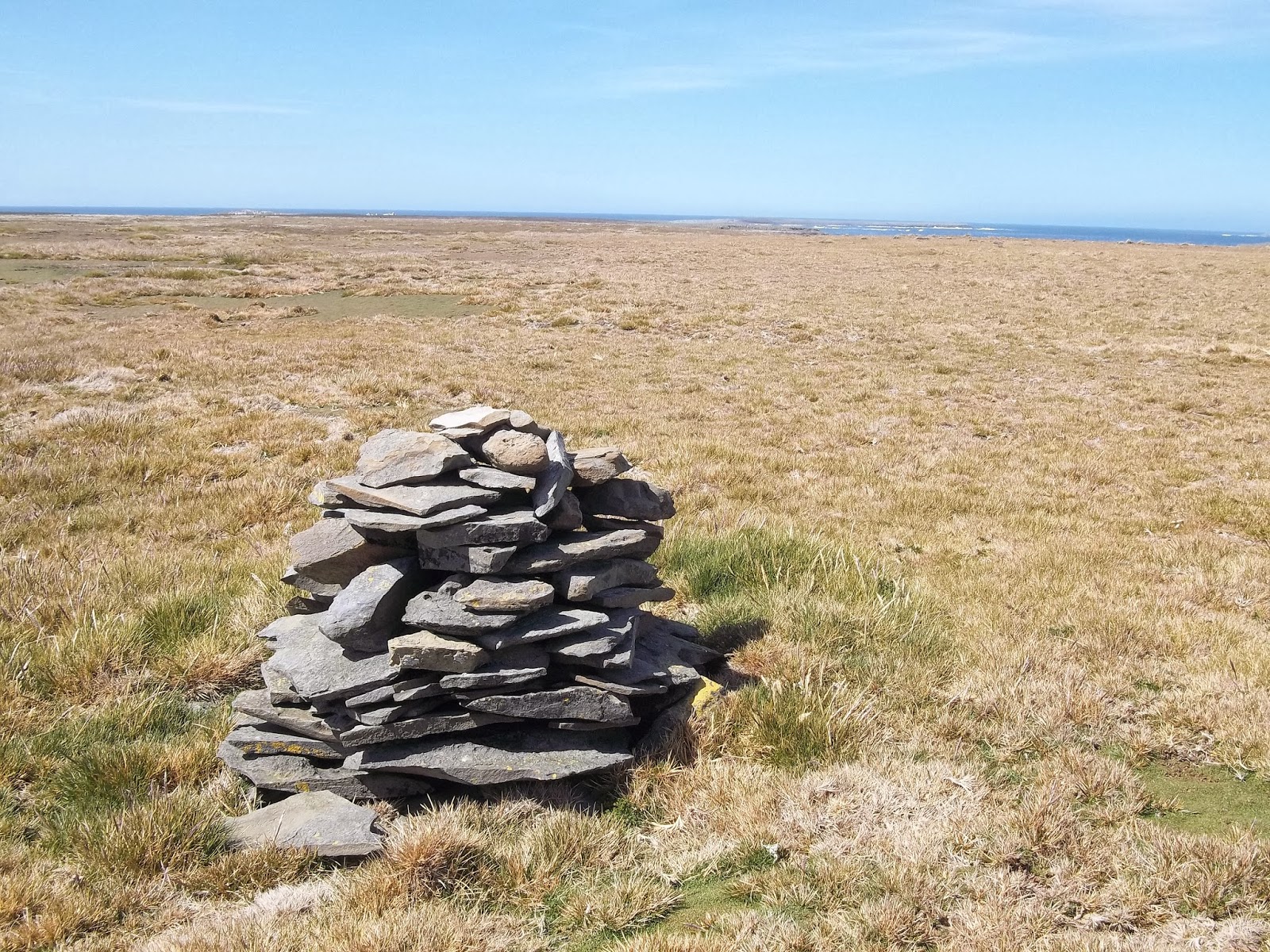 Sandra's world travels: Falkland Islands and Chile - November 2013